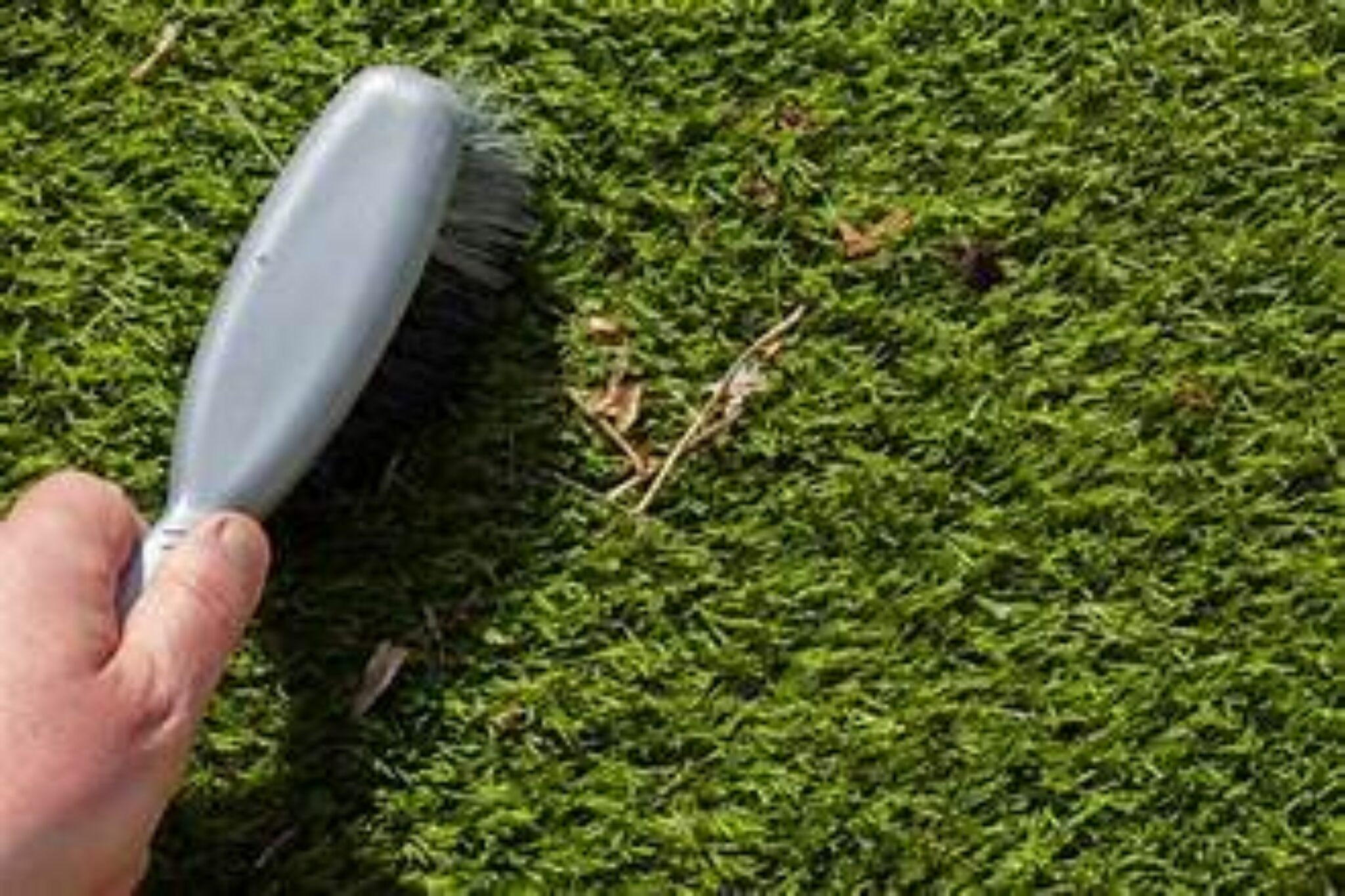Artificial Grass Cleaner, how to maintain and keep your Turf Fresh ...