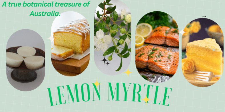 Lemon Myrtle: Types, Regional Suitability expert guide for Aussie ...